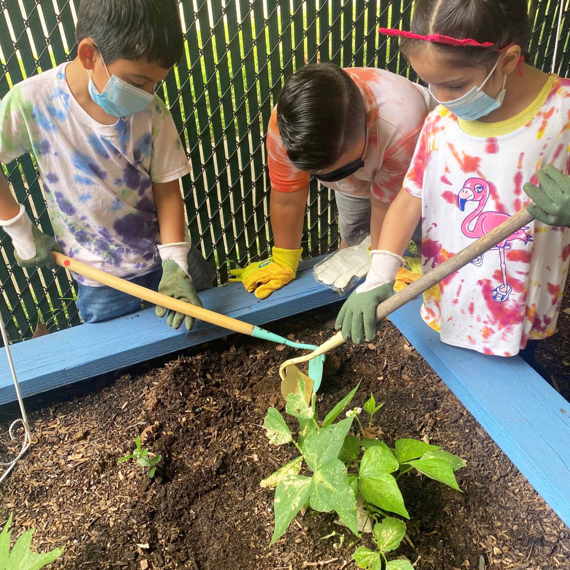 Mission and Vision - Community Family Centers