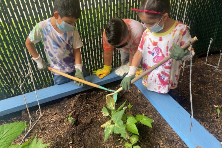 Success Stories - Community Family Centers